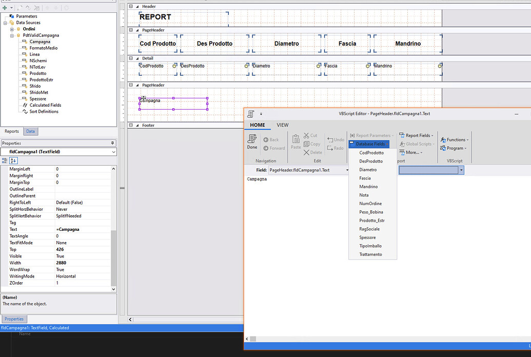C1FlexReport: Use DataSet as Datasource | WinForms Edition ...