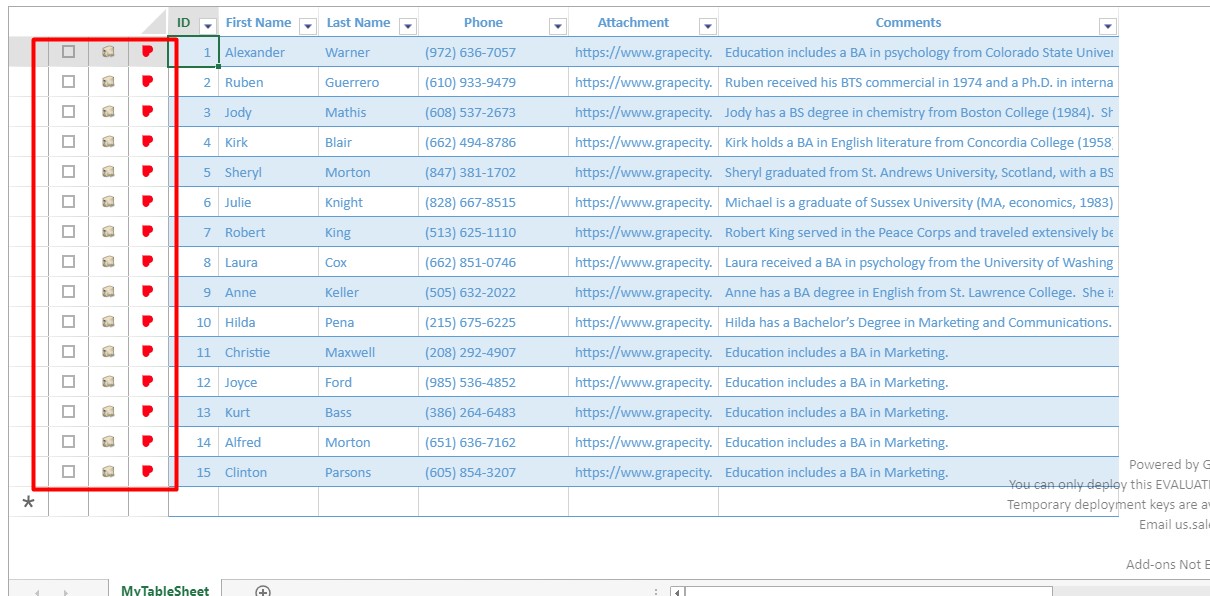 Available formats for IRowActionOptions.icons TableSheet Custom Action | SpreadJS | SpreadJS ...